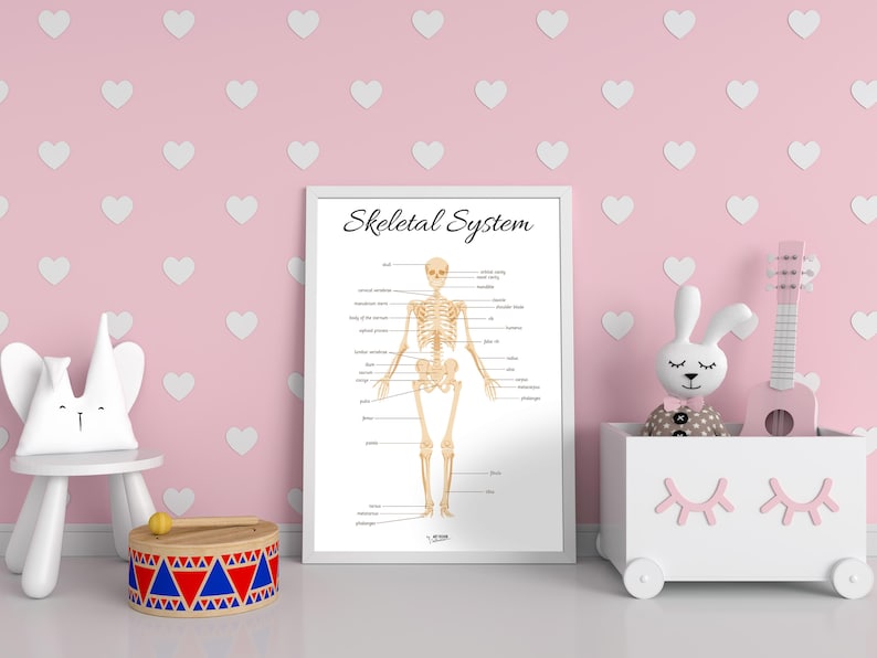 SKELETAL SYSTEM Montessori Poster Montessori Educational - Etsy