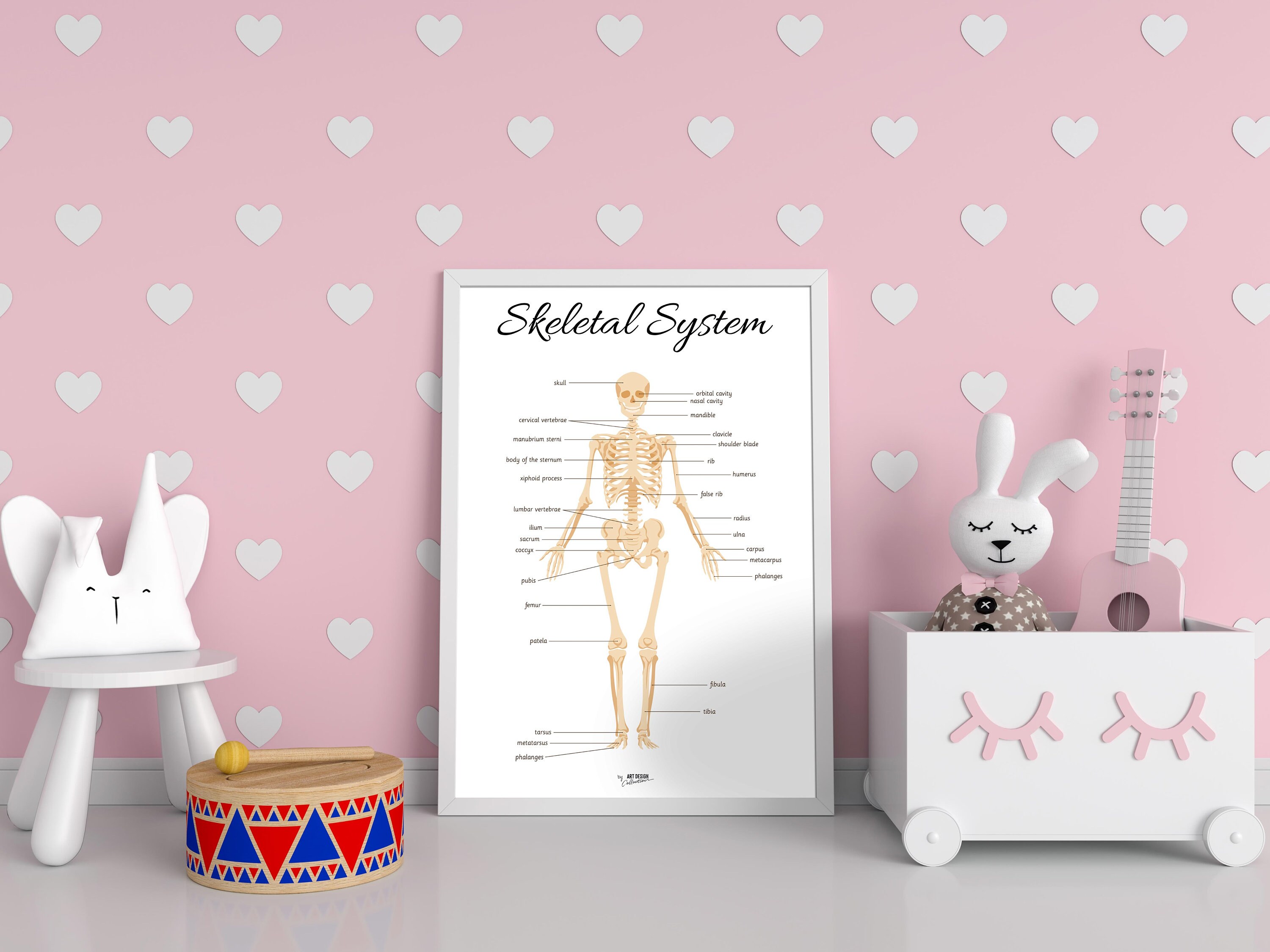 SKELETAL SYSTEM Montessori Poster Montessori Educational - Etsy
