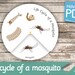 LIFE CYCLE of a MOSQUITO Wheel Montessori Busy Book Activity - Etsy