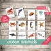 OCEAN ANIMALS • 22 Montessori Cards • Flash Cards Nomenclature ...