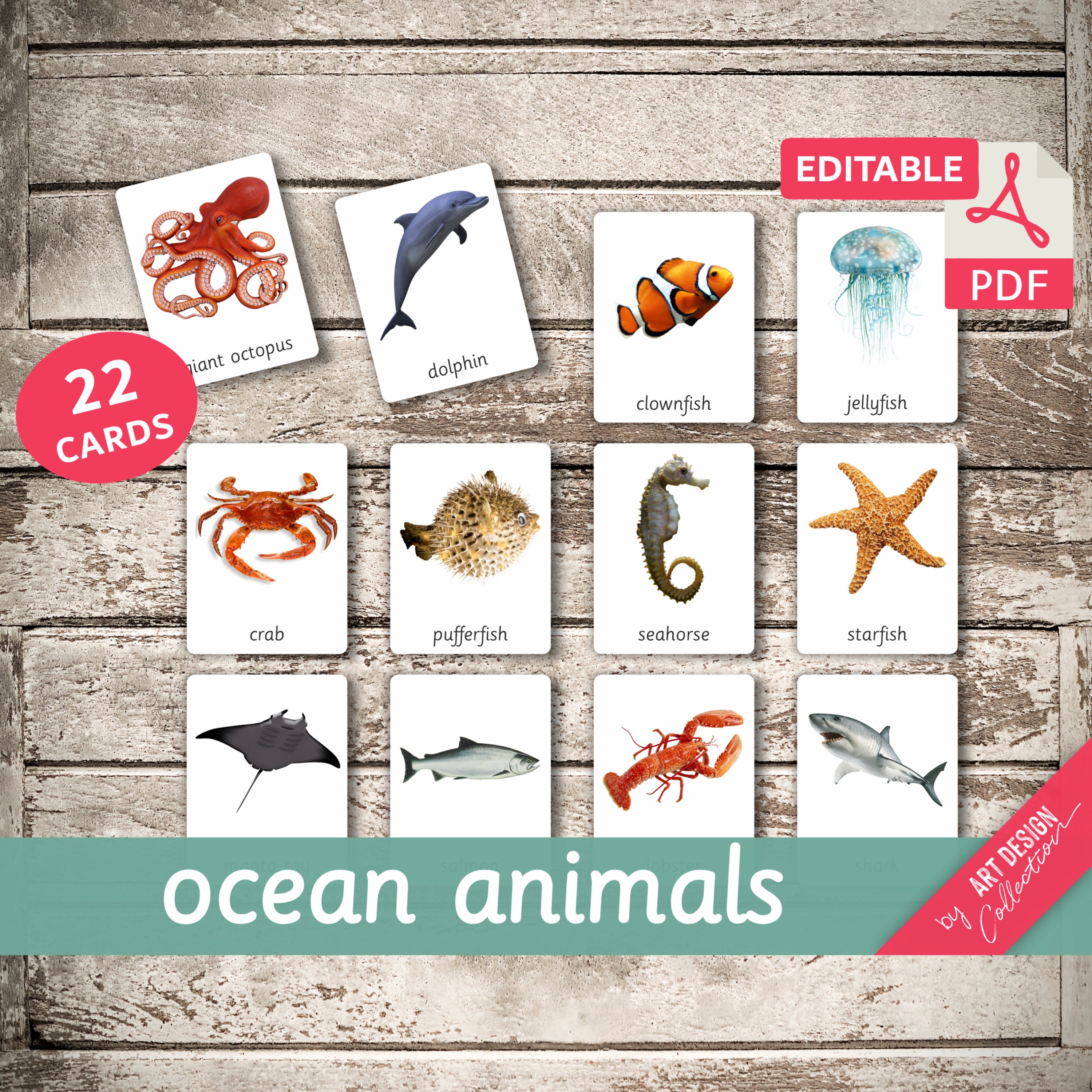 OCEAN ANIMALS • 22 Montessori Cards • Flash Cards Nomenclature ...