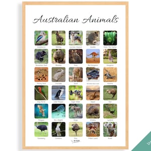 AUSTRALIAN ANIMALS POSTER Montessori Poster Montessori Educational ...