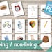 LIVING / Non-living 80 Editable Montessori Cards Flash Cards ...