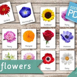 FLOWERS (real Pictures) • 48 Editable Montessori Cards • Flash Cards ...