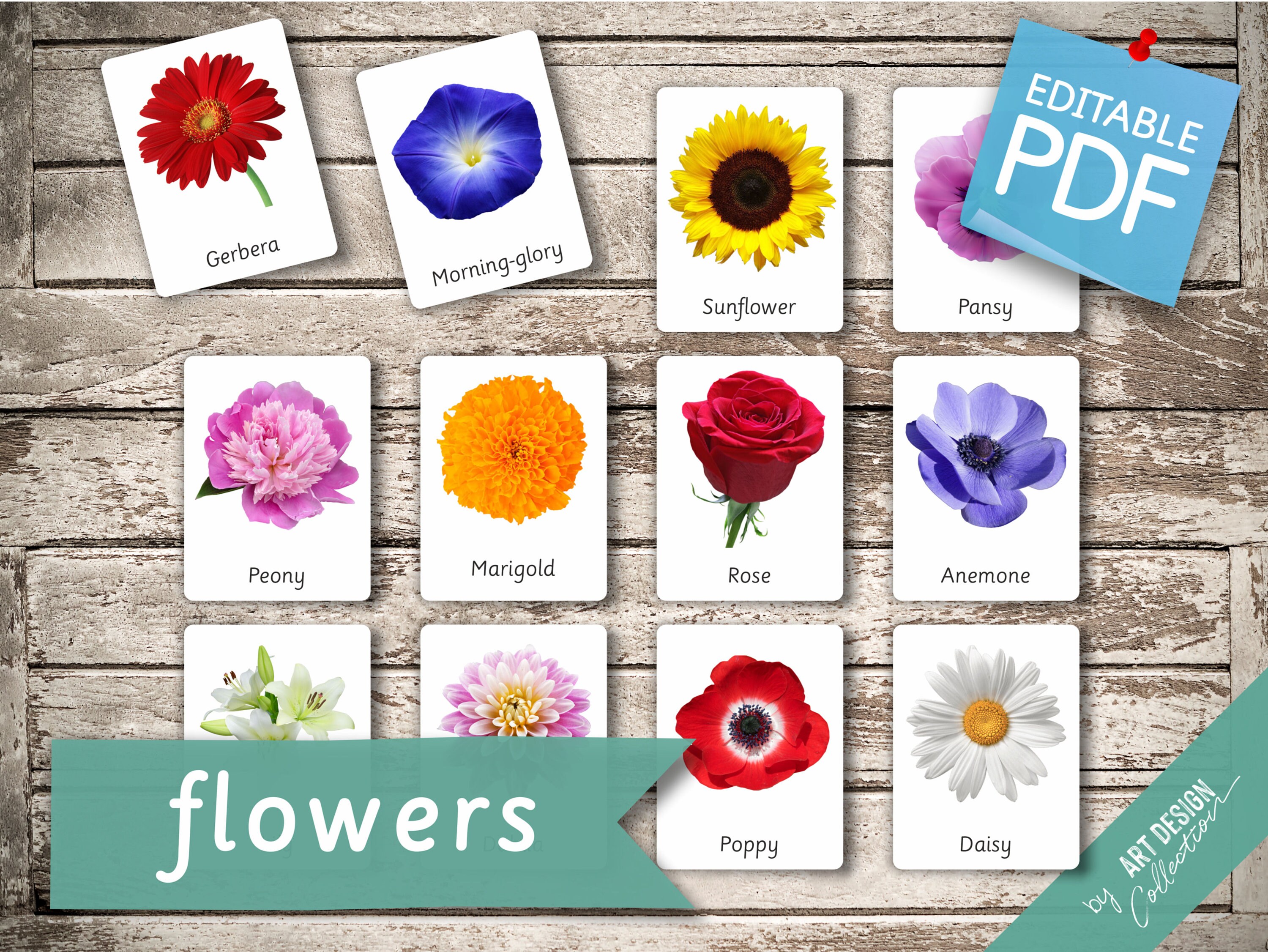 FLOWERS real Pictures 48 Editable Montessori Cards Flash - Etsy