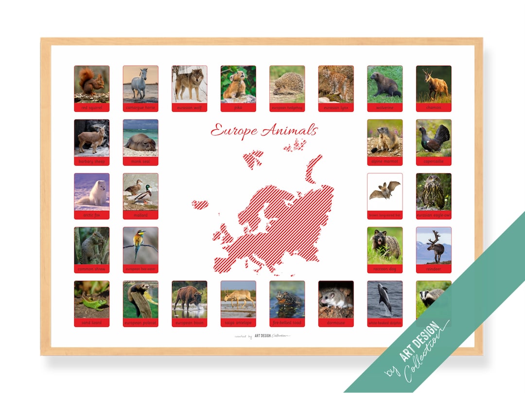 EUROPE ANIMALS Poster • Montessori Poster • Montessori Educational ...