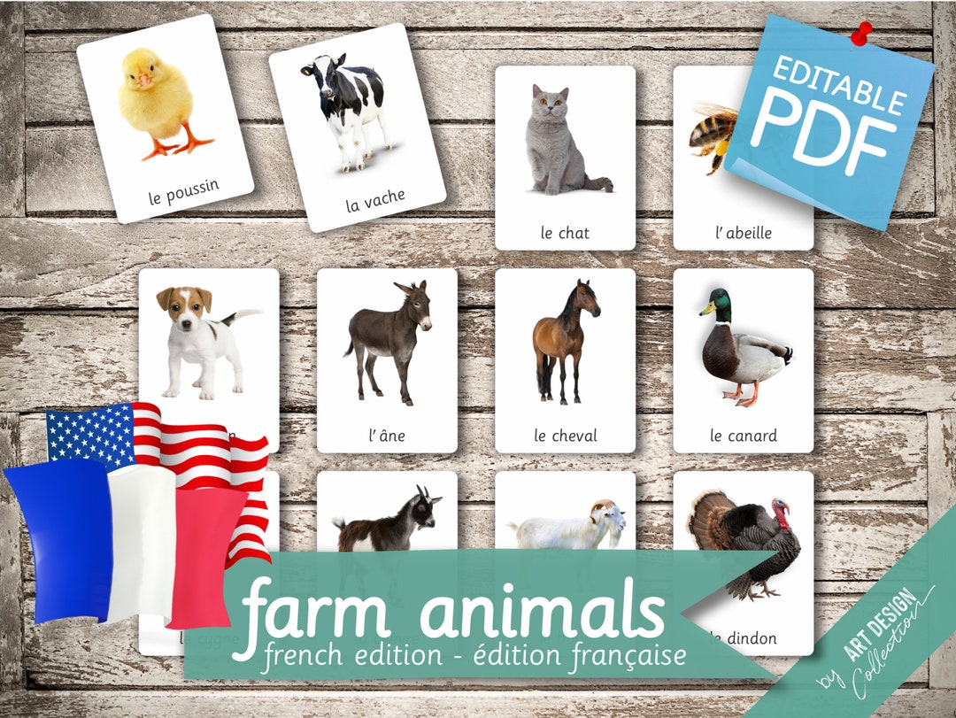 FARM ANIMALS FRENCH Edition • 22 French and 22 English Editable ...