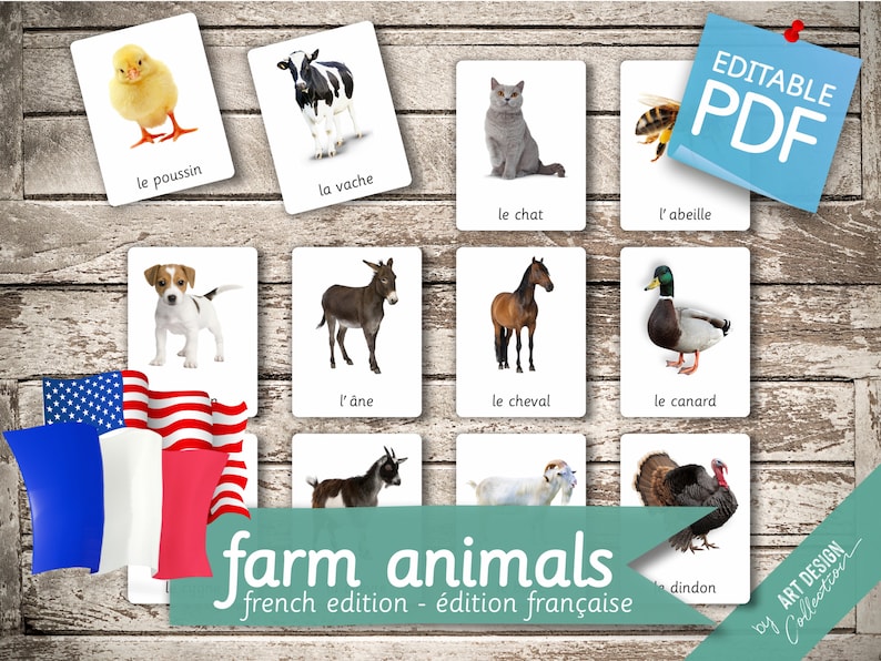 FARM ANIMALS FRENCH Edition 22 French and 22 English - Etsy
