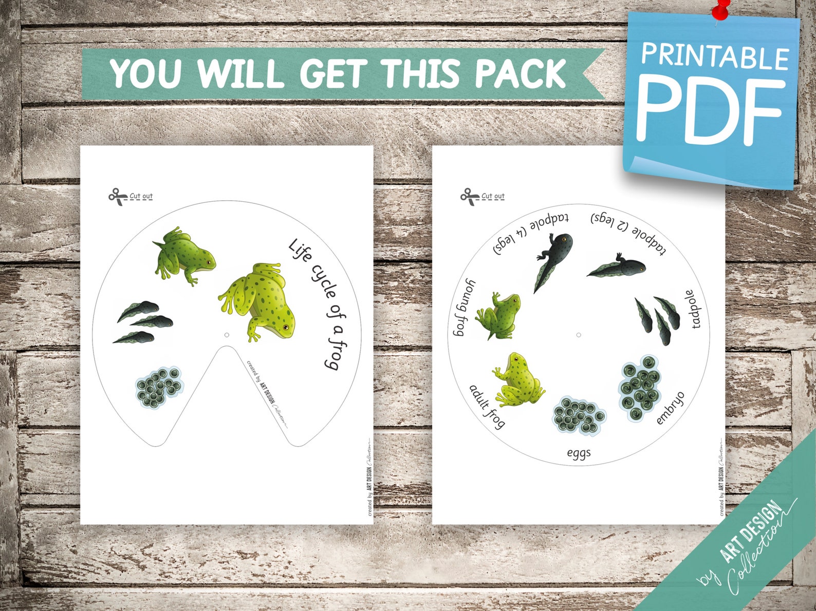 LIFE CYCLE of a FROG Wheel Montessori Busy Book Activity Nomenclature ...