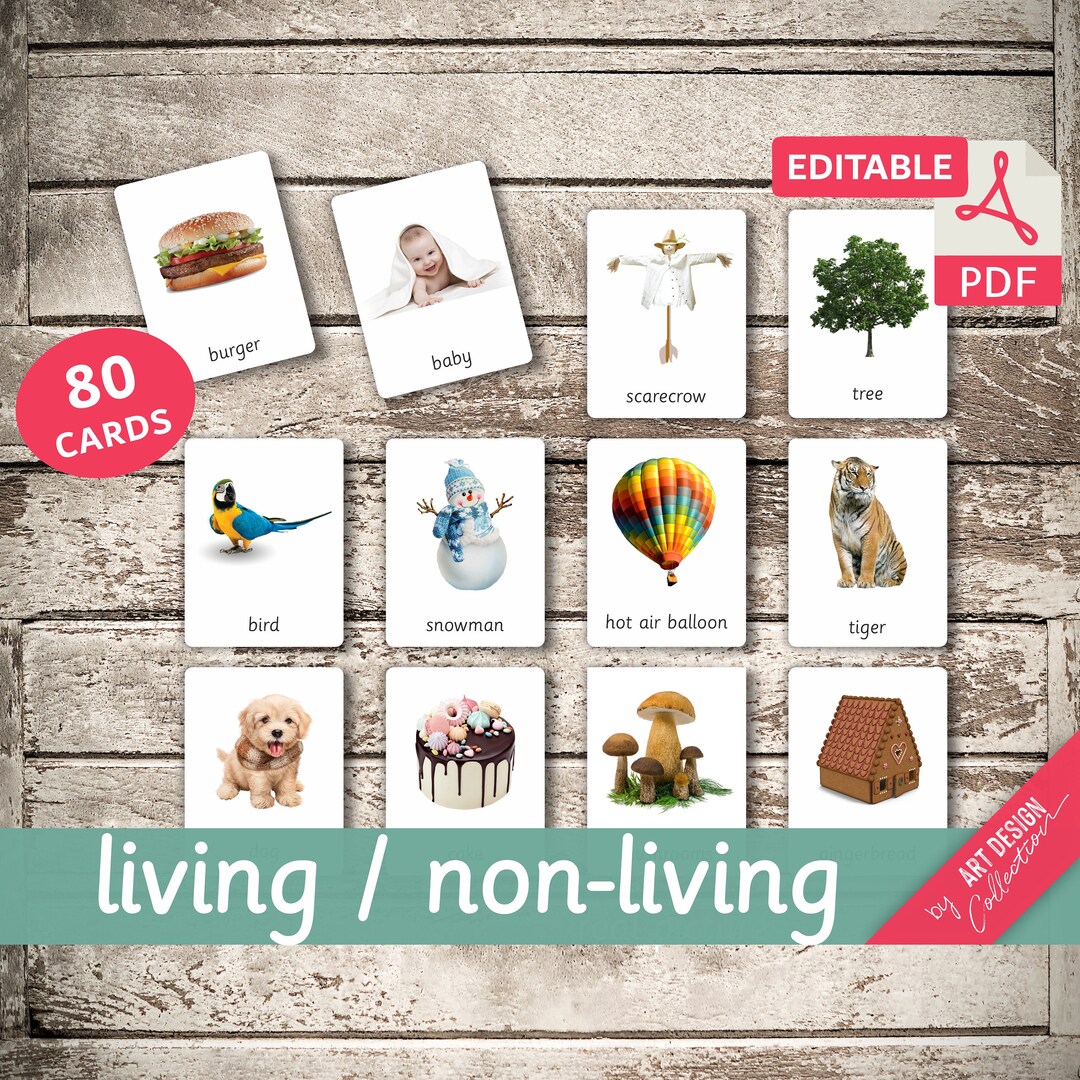 LIVING / Non-living 80 Editable Montessori Cards Flash Cards ...