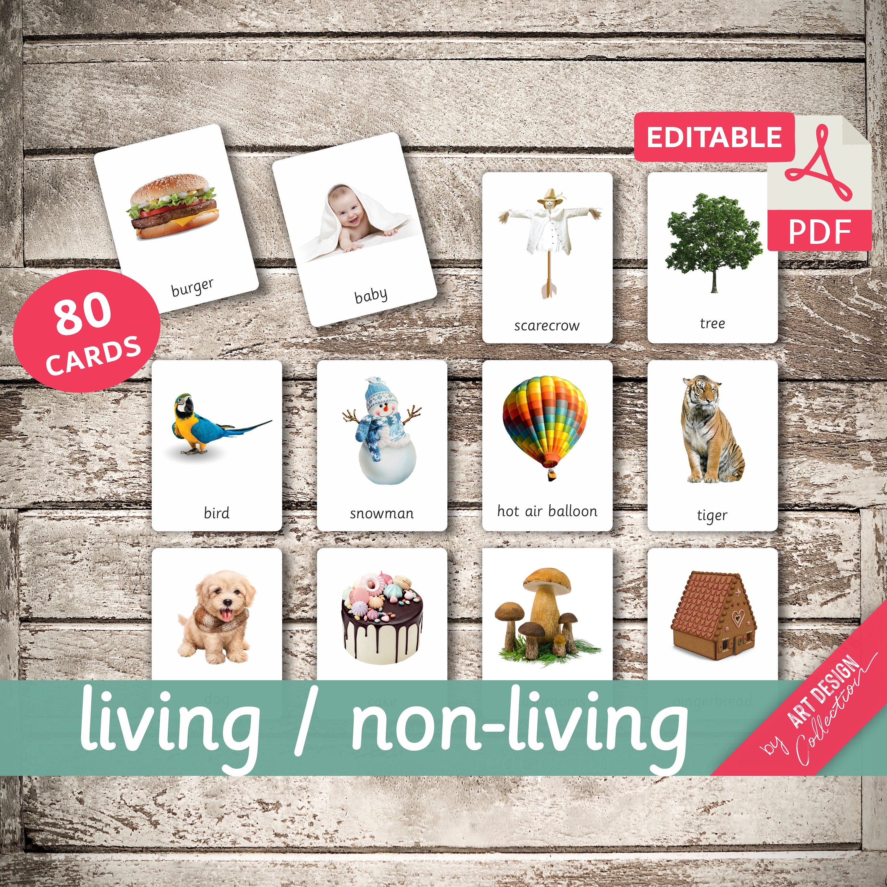 LIVING / Non-living • 80 Editable Montessori Cards • Flash Cards ...