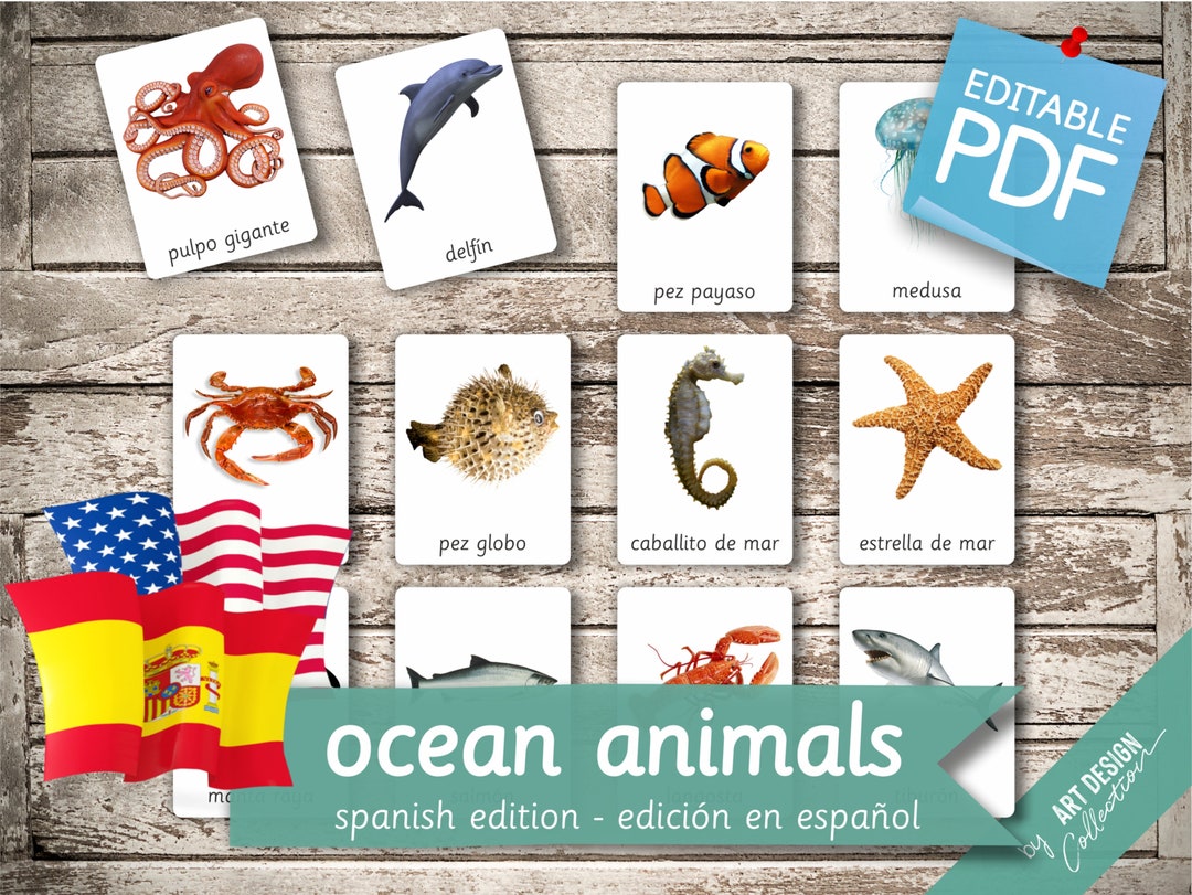 OCEAN ANIMALS SPANISH Edition • 22 Spanish and 22 English Editable ...
