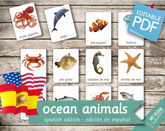 FARM ANIMALS SPANISH Edition • 22 Spanish and 22 English Editable ...