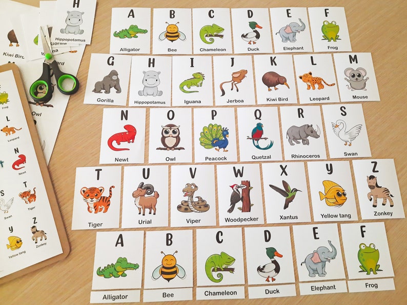 ANIMAL ALPHABET Flashcards 26 Montessori Cards Flash Cards - Etsy