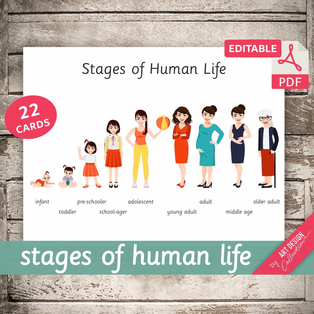 STAGES of HUMAN LIFE • 22 Montessori Cards • Flash Cards Nomenclature ...