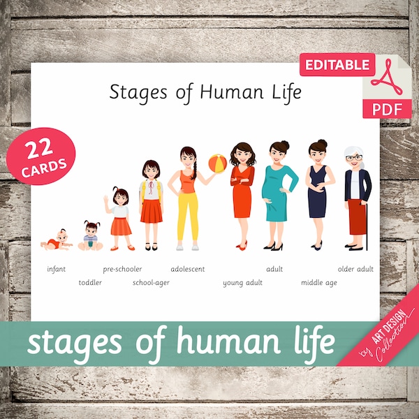 Stages of Life - Etsy