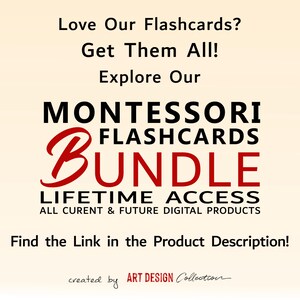 STAGES of HUMAN LIFE • 22 Montessori Cards • Flash Cards Nomenclature ...