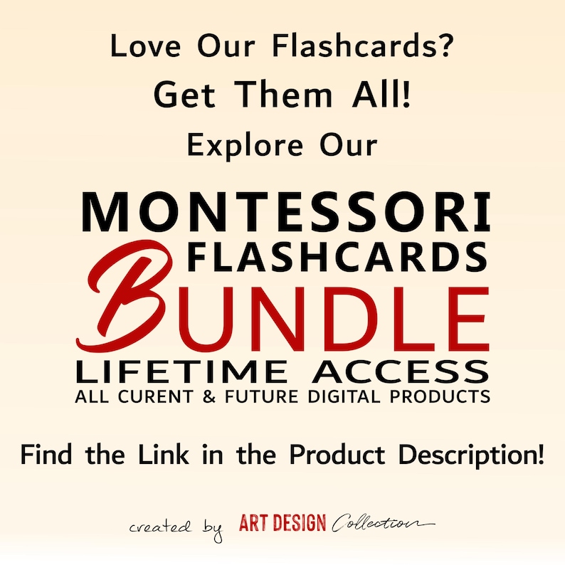 STAGES of HUMAN LIFE • 22 Montessori Cards • Flash Cards Nomenclature ...