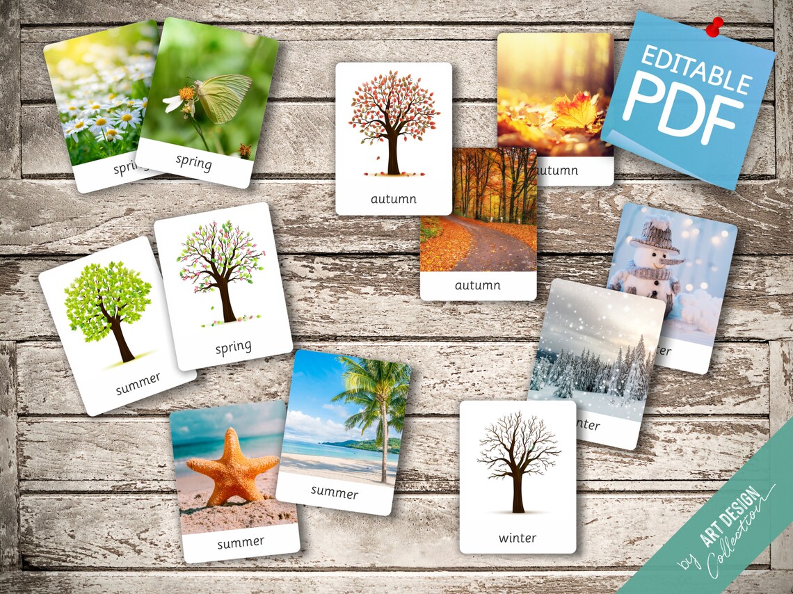 4 SEASONS • 36 Editable Montessori Cards • Flash Cards Nomenclature ...