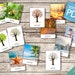 4 SEASONS • 36 Editable Montessori Cards • Flash Cards Nomenclature ...