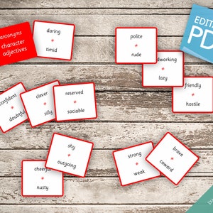 ANTONYMS Character Adjectives • 29 Montessori Cards • Flash Cards ...