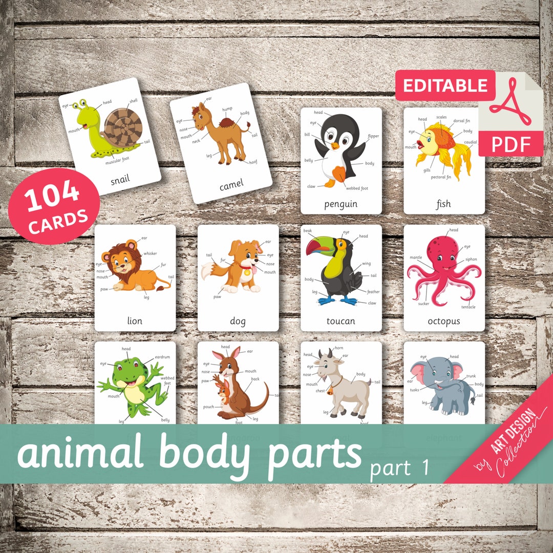 ANIMAL BODY PARTS (part 1) • 104 Editable Montessori Cards • Flash ...