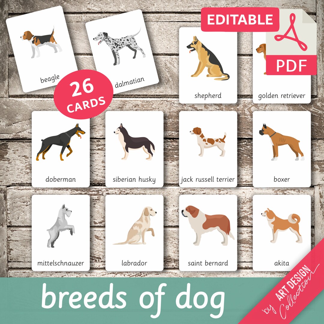 BREEDS OF DOG 26 Editable Montessori Cards Flash Cards Nomenclature ...
