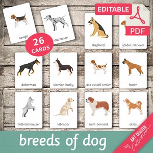 BREEDS OF DOG 26 Editable Montessori Cards Flash Cards Nomenclature ...