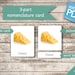 FIRST FOODS real Pictures 92 Editable Montessori Cards Flash Cards ...