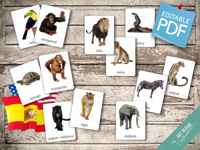 JUNGLE ANIMALS SPANISH Edition • 22 Spanish and 22 English Editable ...