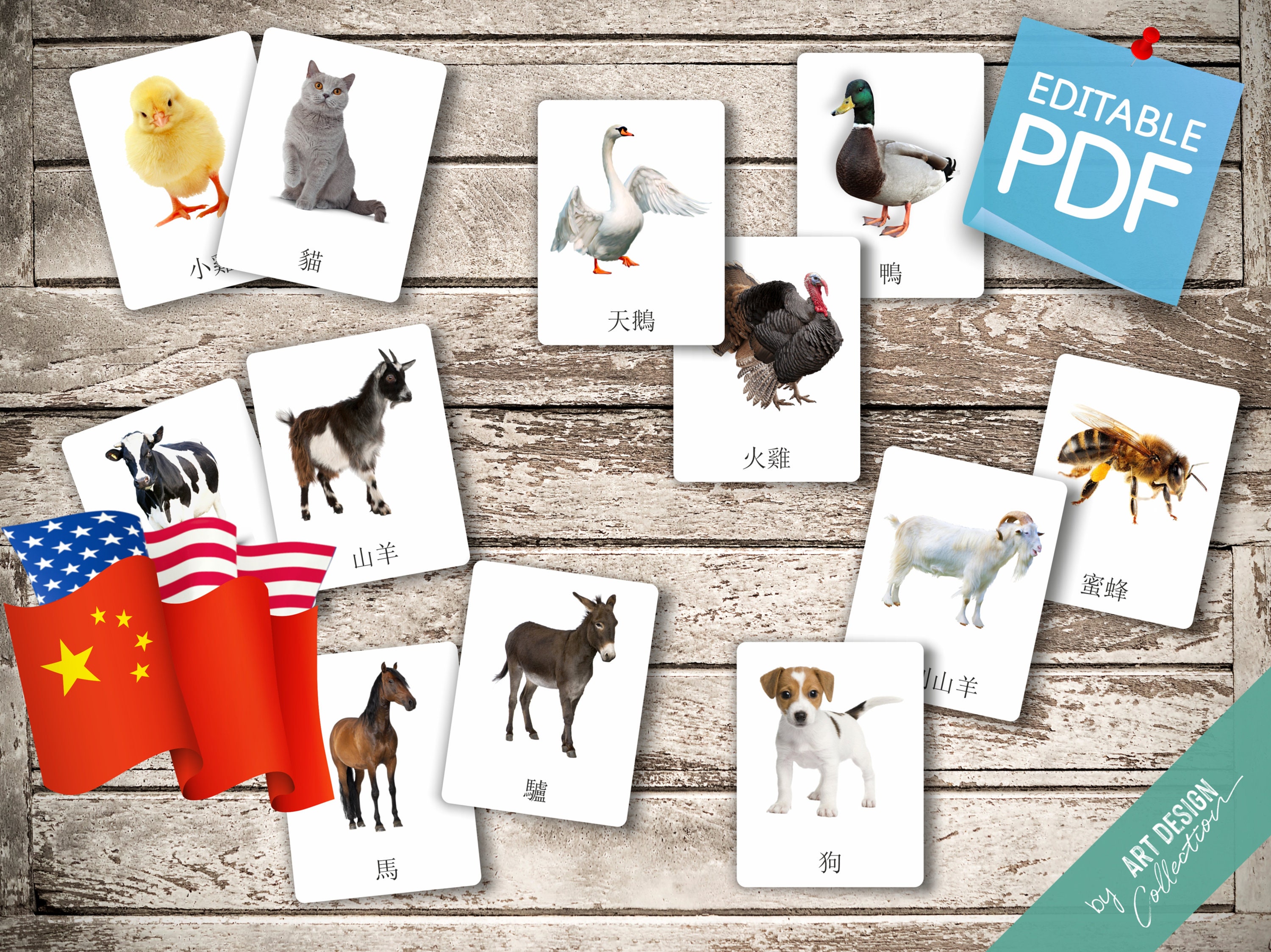 FARM ANIMALS CHINESE Edition 22 Simplified Chinese 22 - Etsy UK