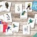 BIRDS (real Pictures) FRENCH Edition • 30 French and 30 English ...