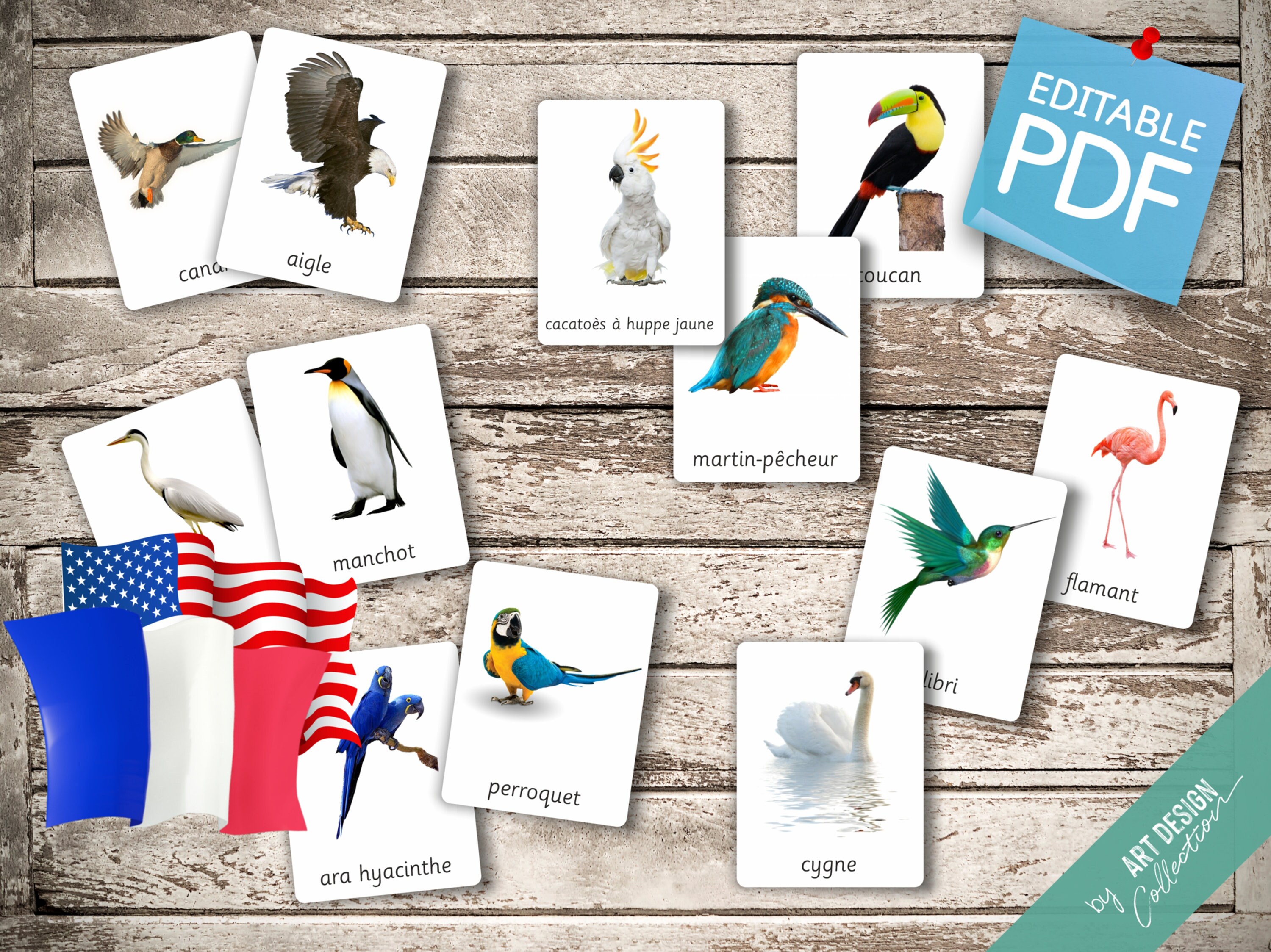 BIRDS real Pictures FRENCH Edition 30 French and 30 | Etsy