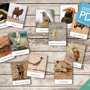 DESERT ANIMALS • 24 Editable Montessori Cards • Flash Cards ...