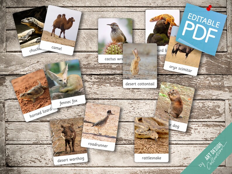 DESERT ANIMALS 24 Editable Montessori Cards Flash Cards - Etsy