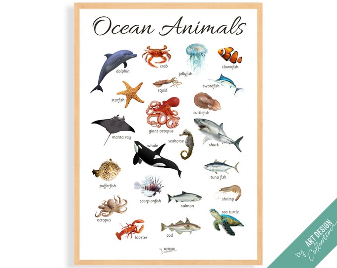 Vintage Seashell Print, French Seashell Poster Ocean Print Beach House ...