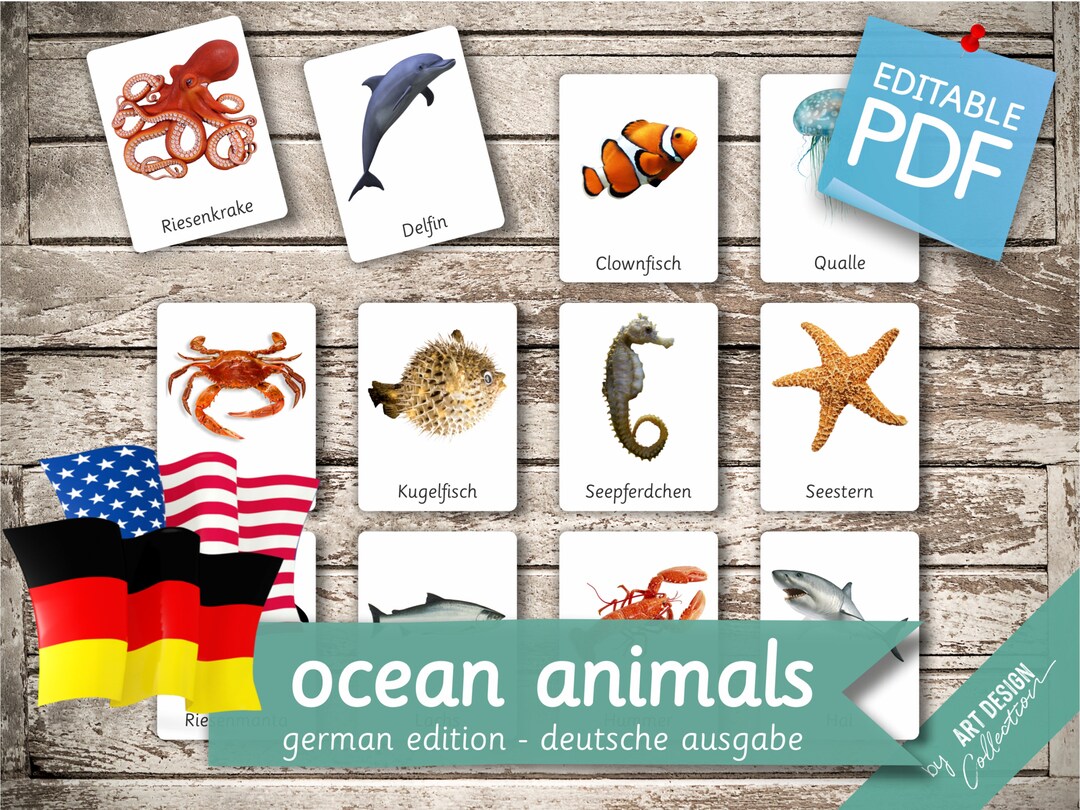 OCEAN ANIMALS GERMAN Edition • 22 German and 22 English Editable ...