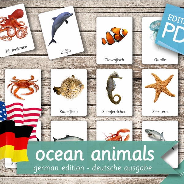 Ocean Animal - Etsy