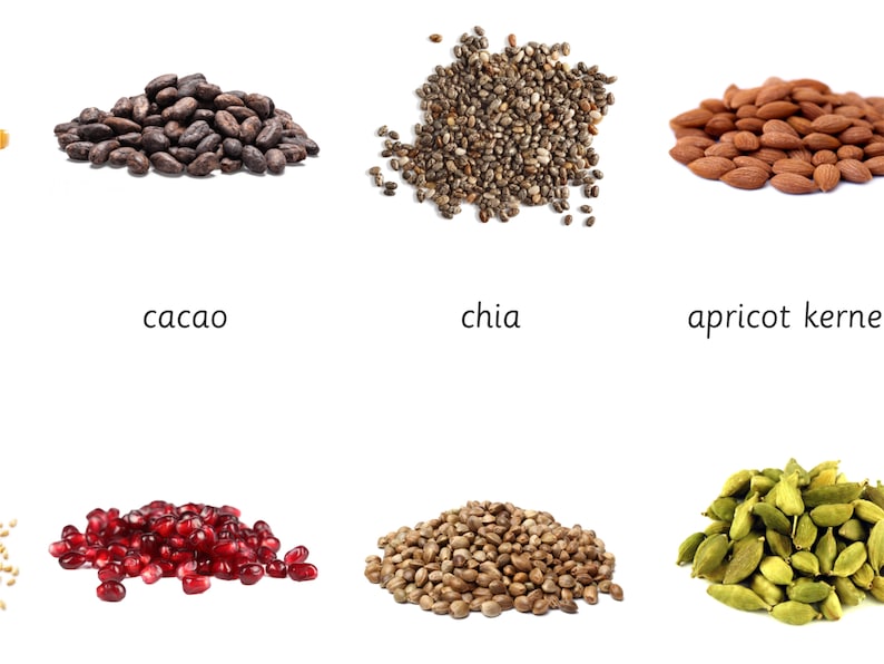 SEEDS POSTER • Montessori Poster • Montessori Educational Homeschooling ...