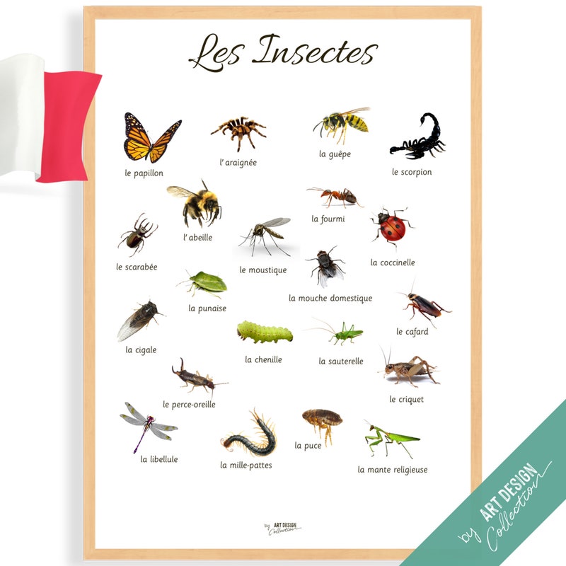 ArtDesignCollection - Etsy