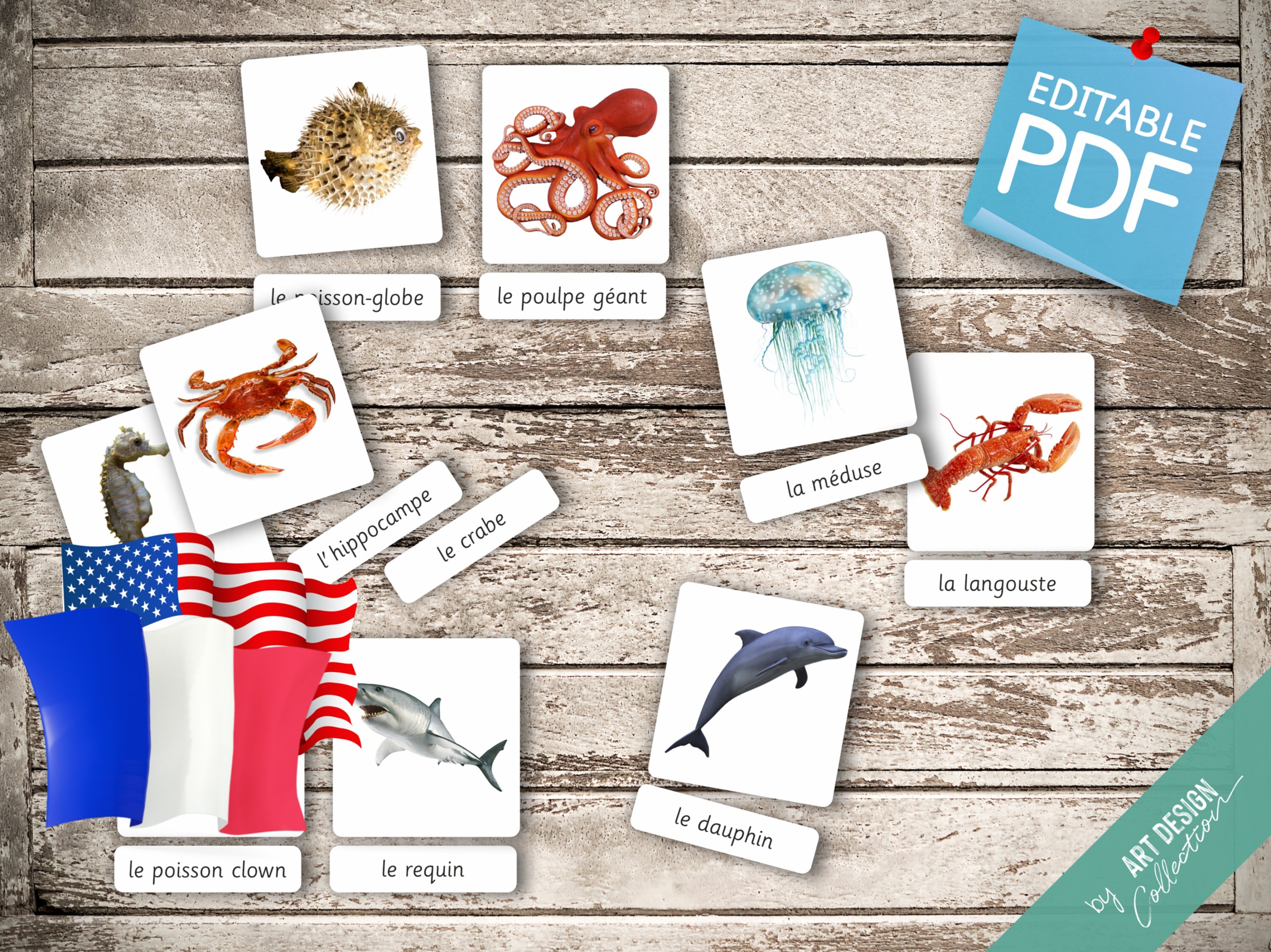 OCEAN ANIMALS FRENCH Edition 22 French and 22 English | Etsy