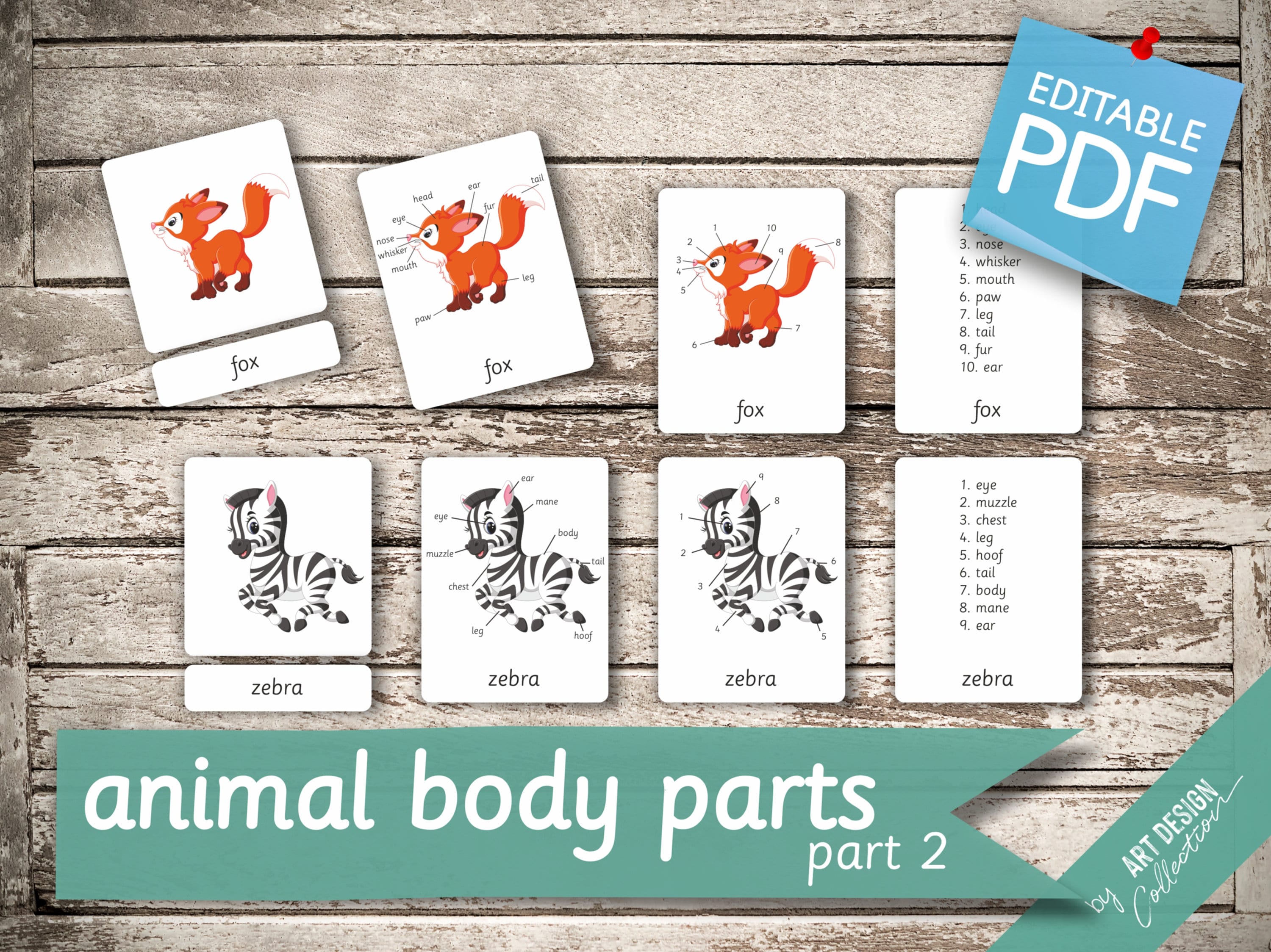 ANIMAL BODY PARTS part 2 104 Editable Montessori Cards | Etsy