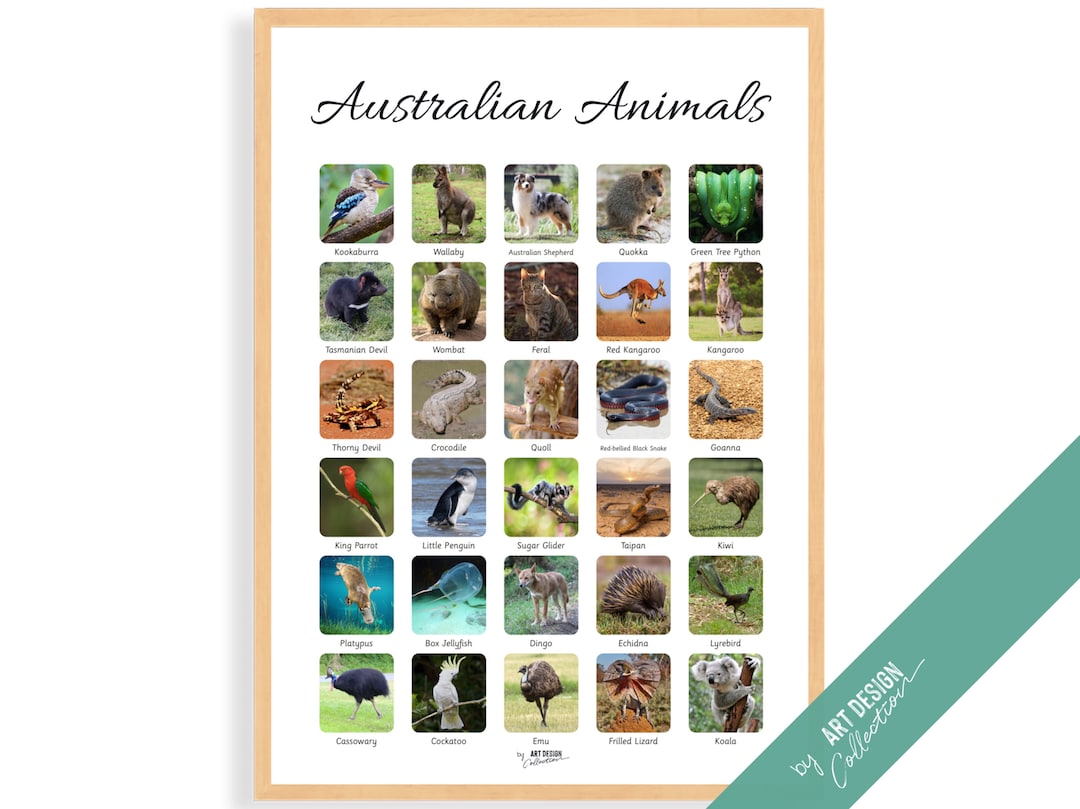 AUSTRALIAN ANIMALS POSTER • Montessori Poster • Montessori Educational ...