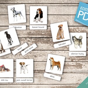 BREEDS OF DOG (real Pictures) • 27 Editable Montessori Cards • Flash ...