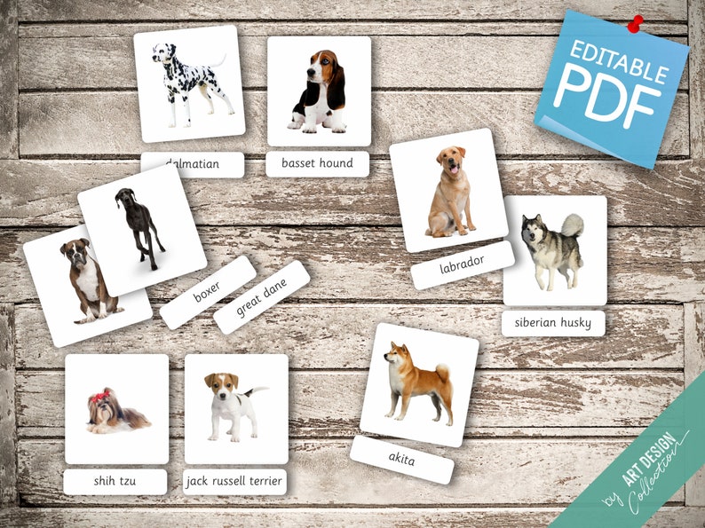 BREEDS OF DOG (real Pictures) • 27 Editable Montessori Cards • Flash ...