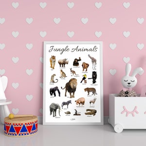 JUNGLE ANIMALS POSTER • Montessori Poster • Montessori Educational ...
