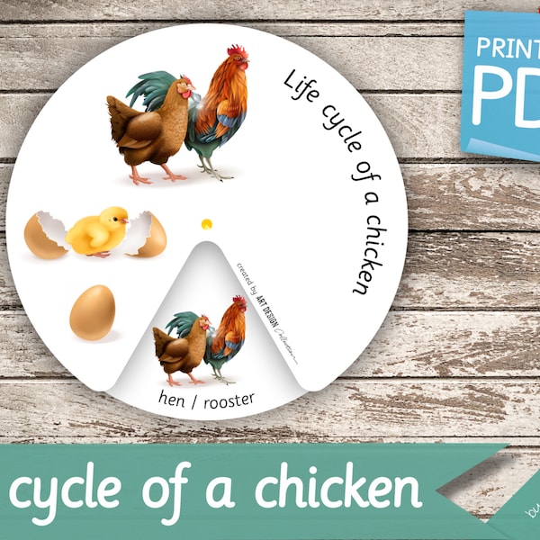 Life Cycle Puzzle - Etsy