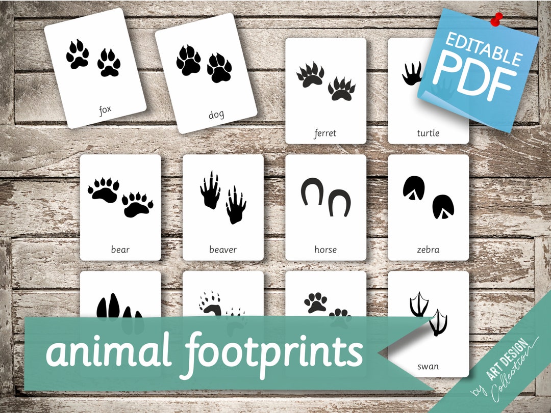ANIMAL FOOTPRINTS 50 Montessori Cards Flash Cards Nomenclature ...