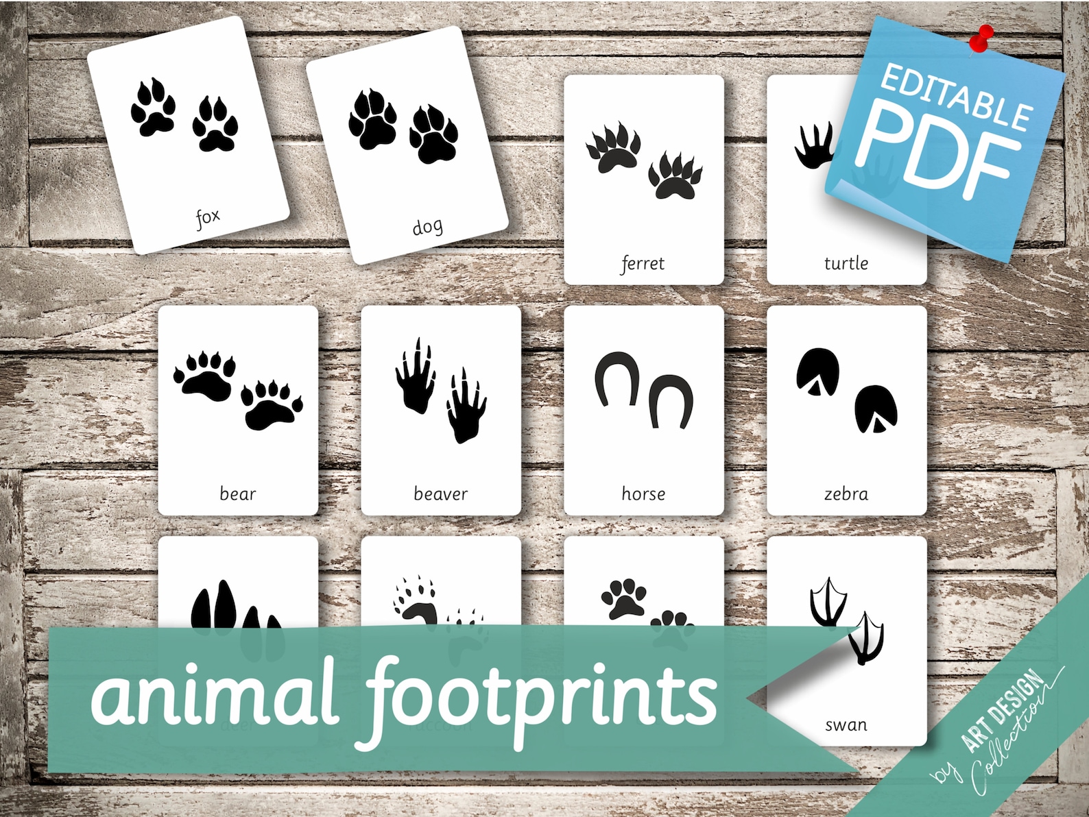 ANIMAL FOOTPRINTS • 50 Montessori Cards • Flash Cards Nomenclature ...