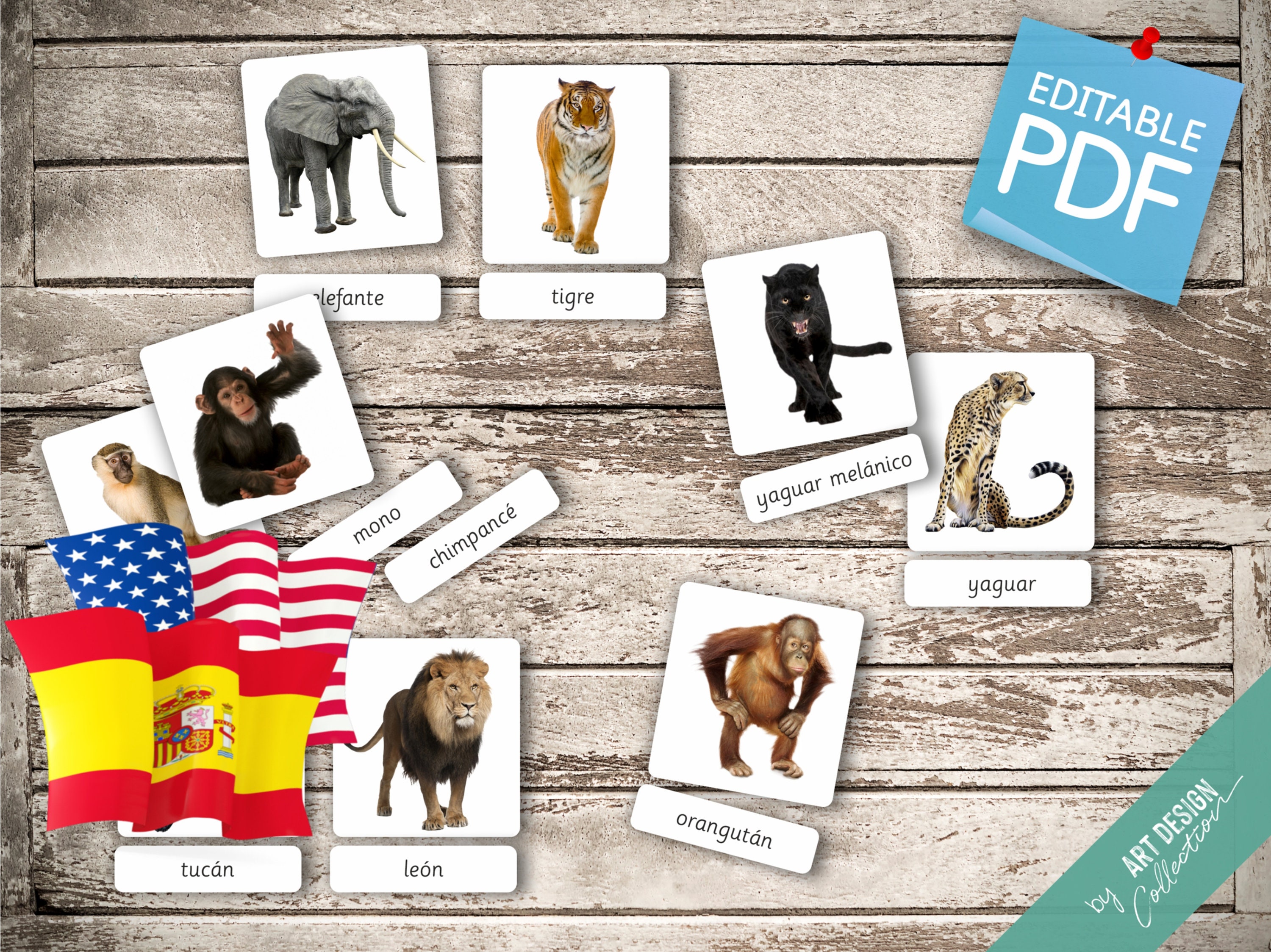 JUNGLE ANIMALS SPANISH Edition • 22 Spanish and 22 English Editable ...